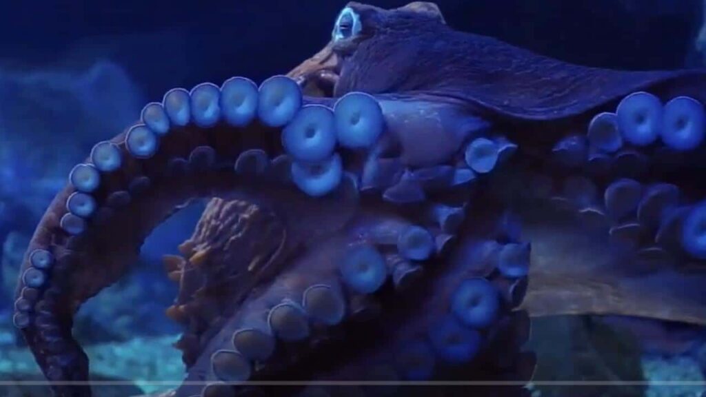 The Intersection of Octopus and Artificial Intelligence