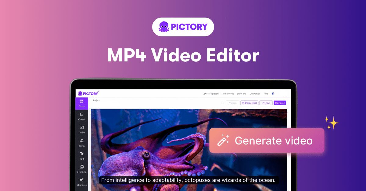 MP4 Video Editor